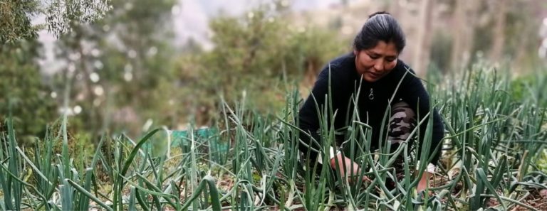Centro de la Mujer Peruana : Flora Tristán